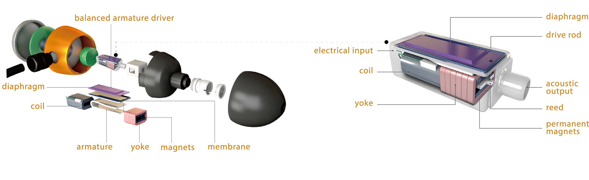 M-EAR 4D – audiolab